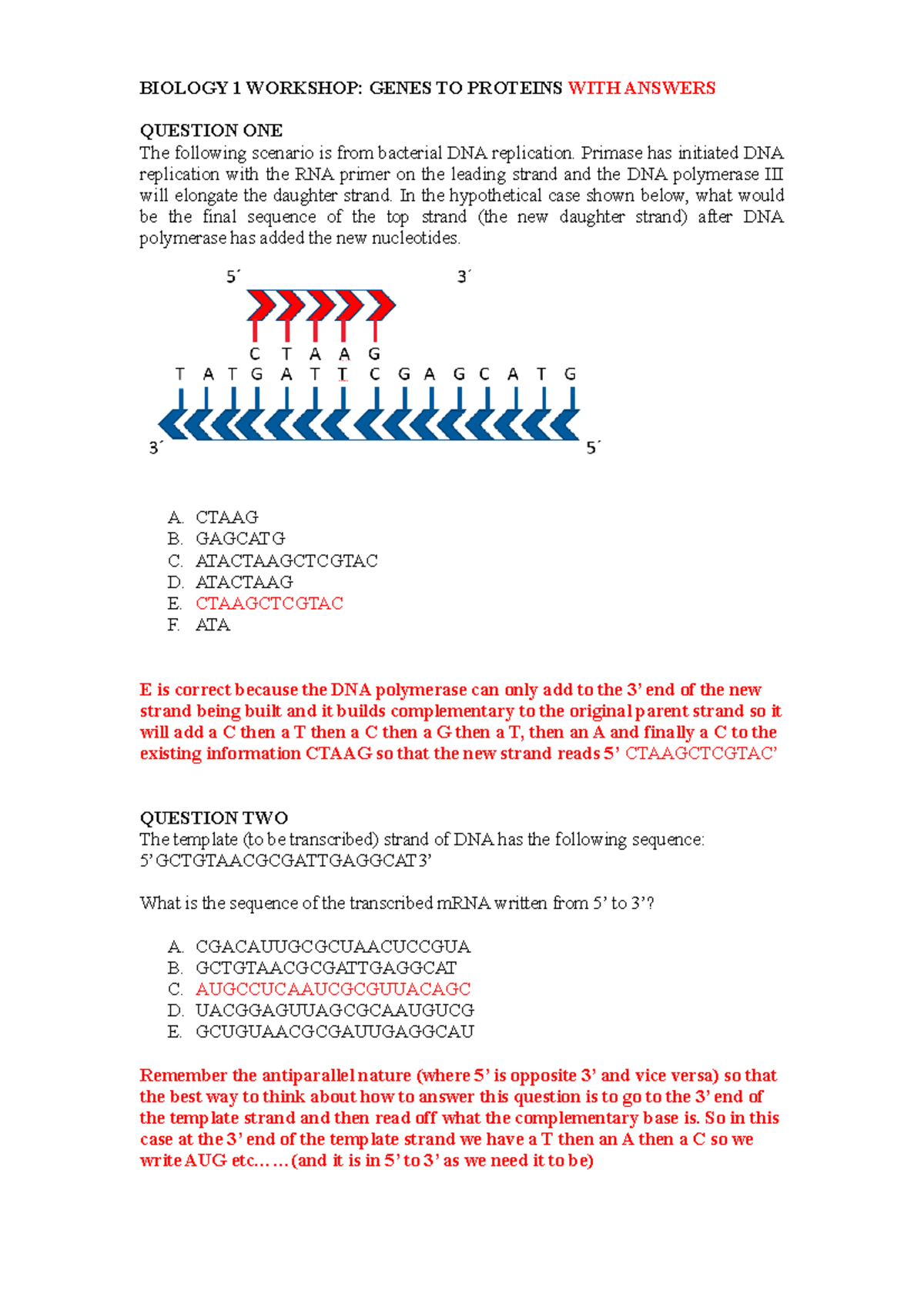 Biology 1 Workshop WITH Answers - BIOLOGY 1 WORKSHOP: GENES TO PROTEINS ...