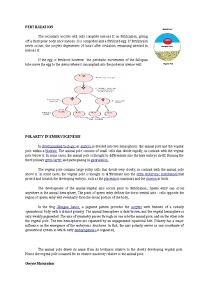 Fate maps - Lecture notes 1-3 - FATE MAPS In developmental biology ...