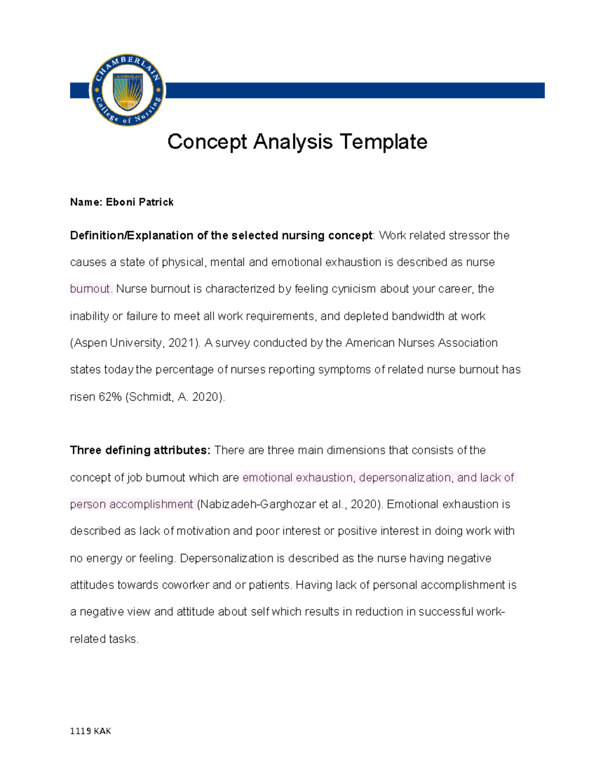 Annotated-NR501NP Concept Analysis Template V1 - Concept Analysis ...