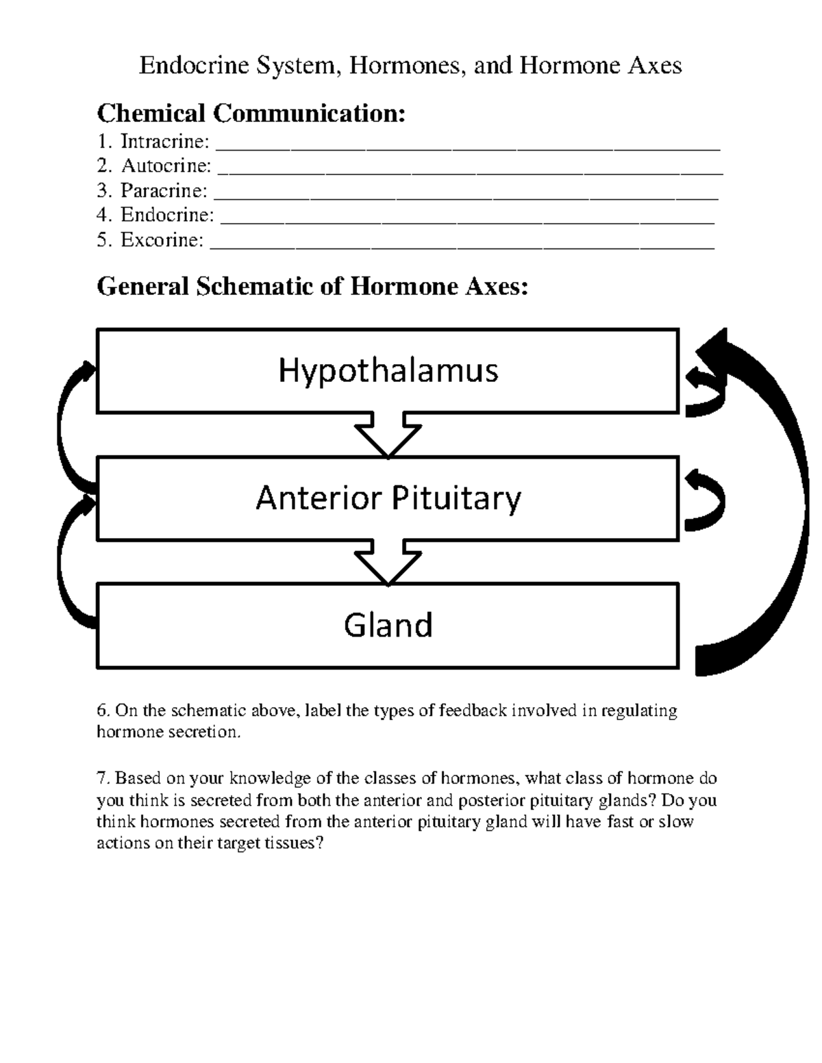 2022 Endocrine System and Hormone Axis Worksheet - Chemical ...