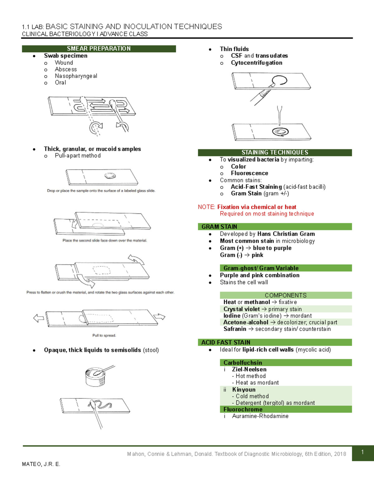 1 - sdgdfghdfhfghsdfhsfhfgh - 1 LAB: BASIC STAINING AND INOCULATION ...