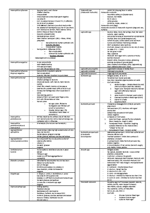 Streptococcus - notes - lecture and book - Streptococcus, Enterococcus ...
