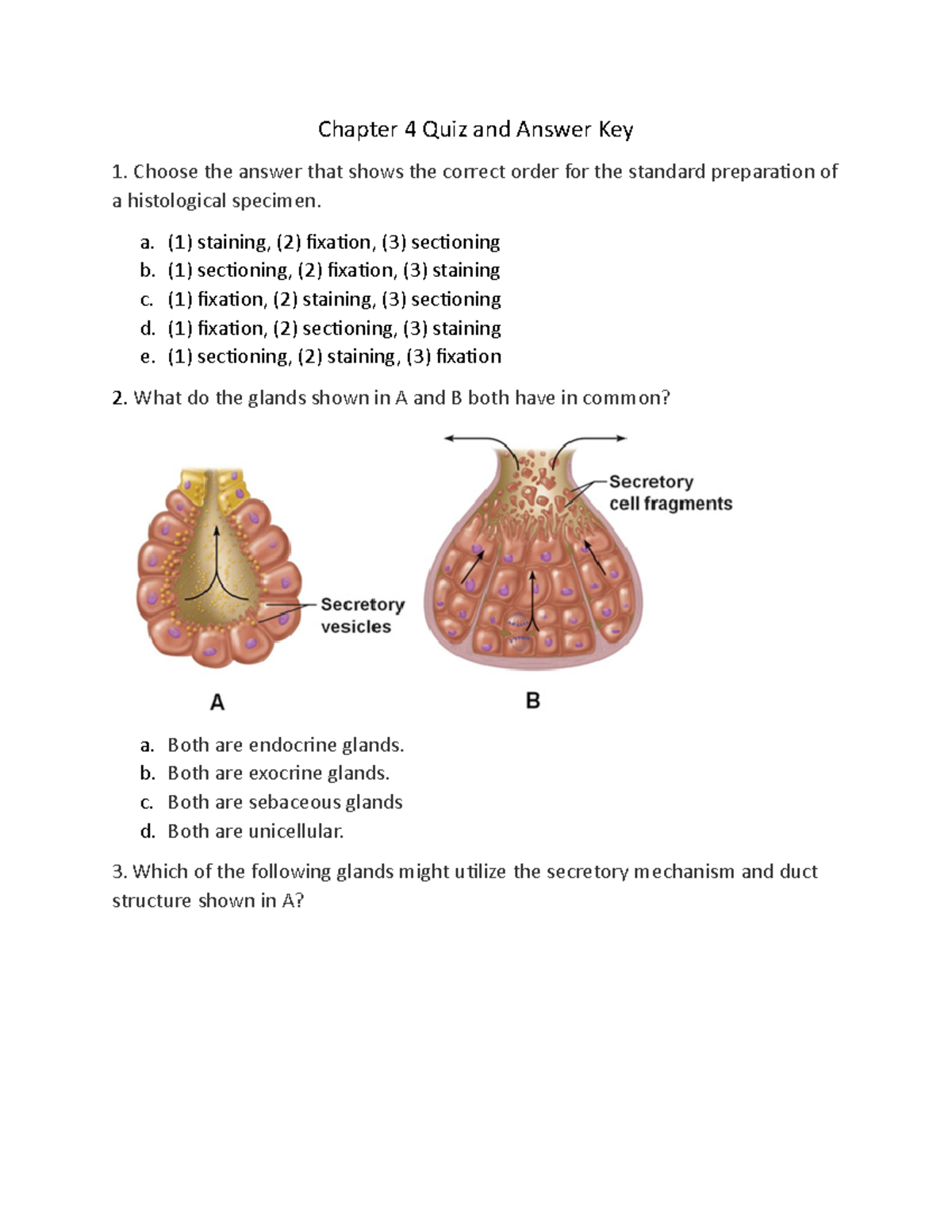 Chapter 4 Quiz and Answer key - a. (1) staining, (2) fixation, (3 ...