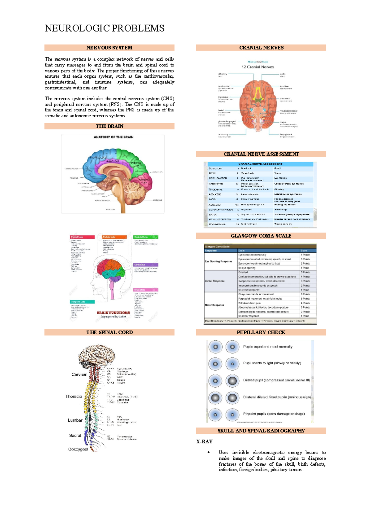 Neurologic - Neuro - NERVOUS SYSTEM The nervous system is a complex ...