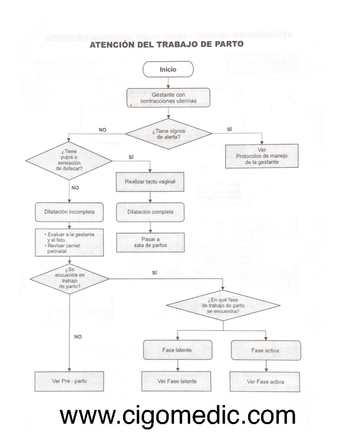 Atención del Parto - OBSTETRICIA - obstetricia - Studocu