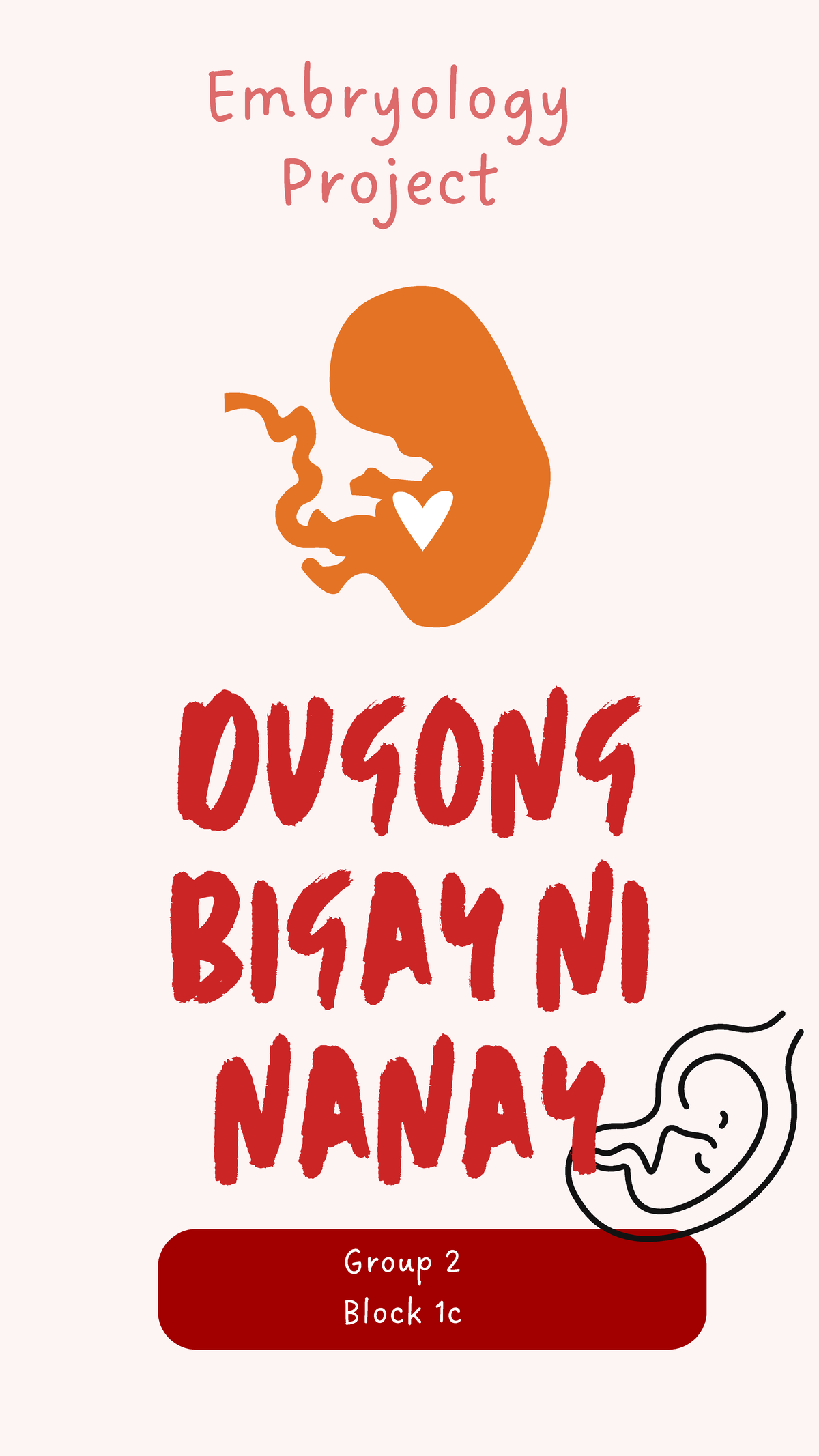 Embryo front - Histology - Dugong bigay ni nanay Embryology Project ...