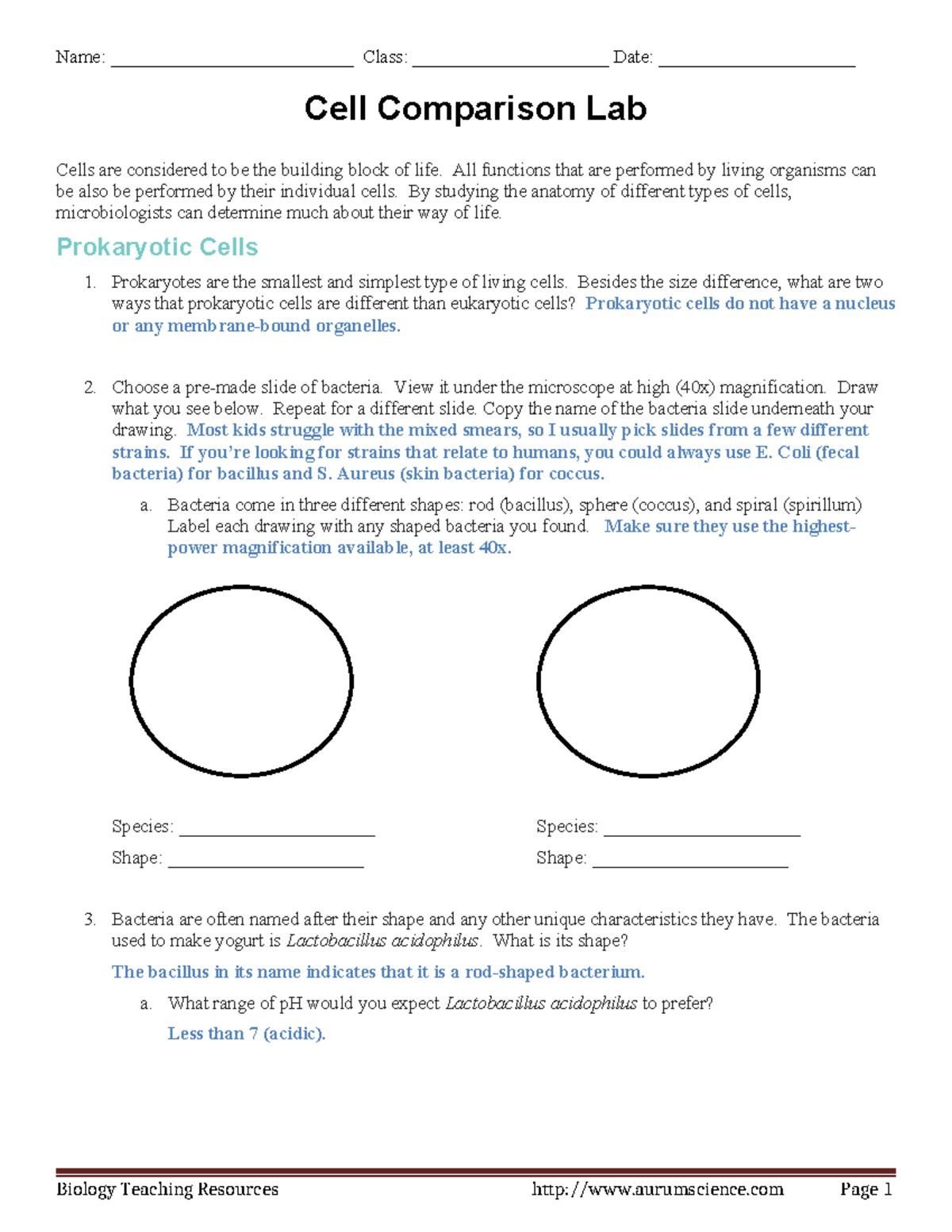 Cell Comparison Lab (Answer Key) - Name ...