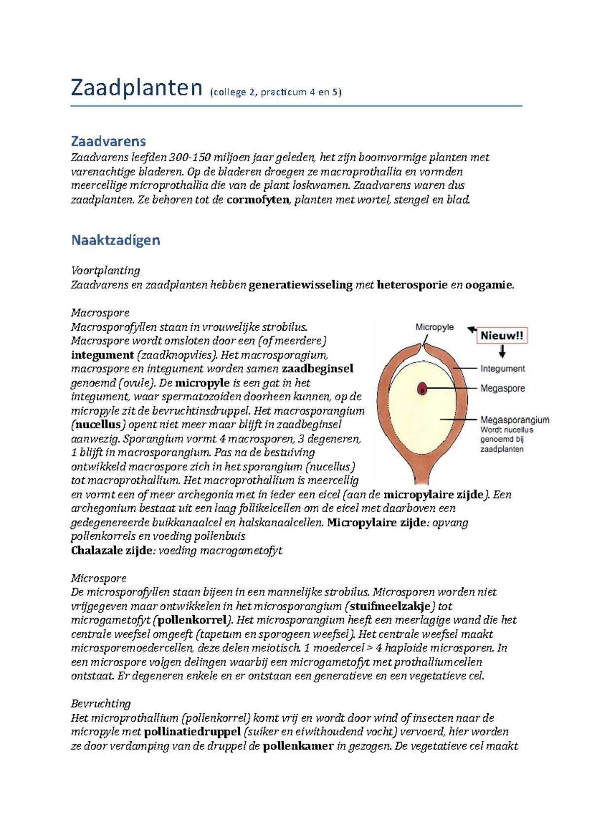 Zaadplanten - samenvatting college 2 en practicum 4 en 5 - Zaadplanten ...