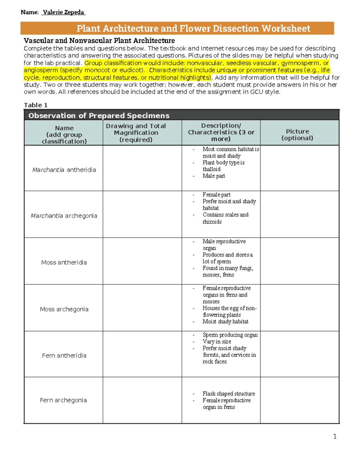 Plant Anatomy - Plant Architecture and Flower Dissection Worksheet ...