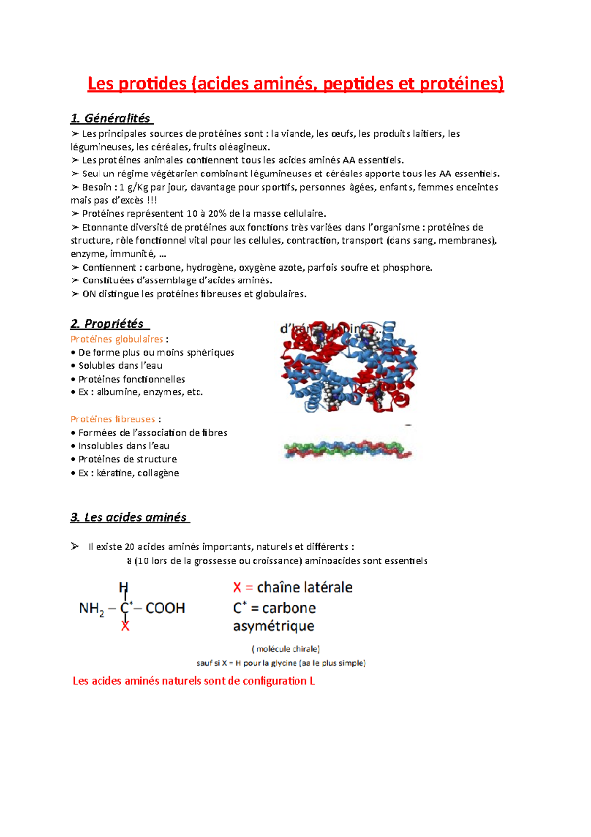 Les protides - Généralités Les principales sources de protéines sont ...