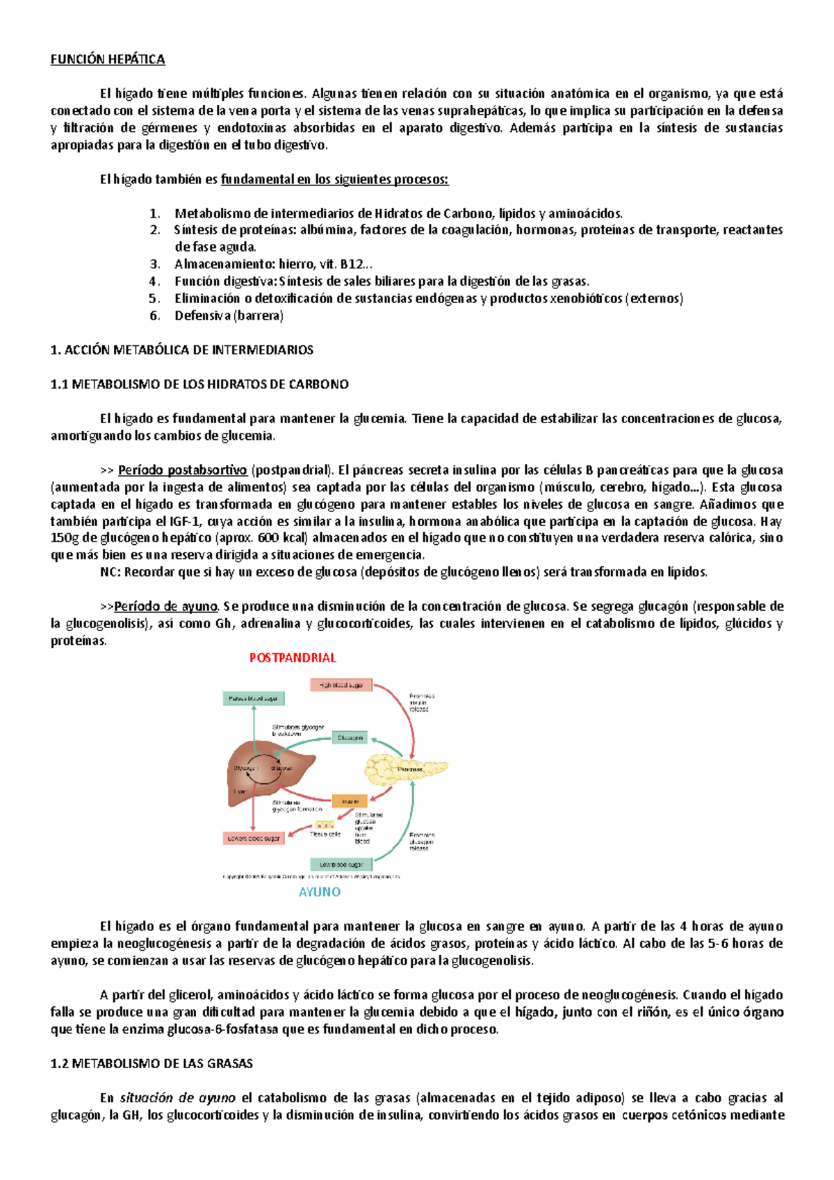 Función hepática - FUNCIÓN HEPÁTICA El hígado tiene múltiples funciones ...