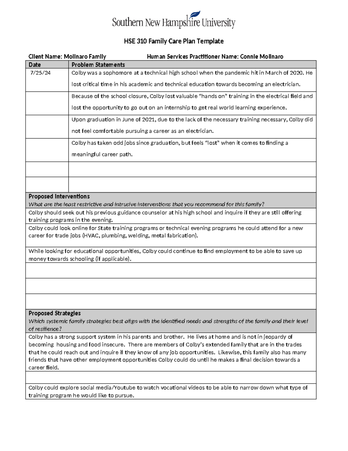 HSE 310 Module 4 Family Care Plan Template - HSE 310 Family Care Plan ...