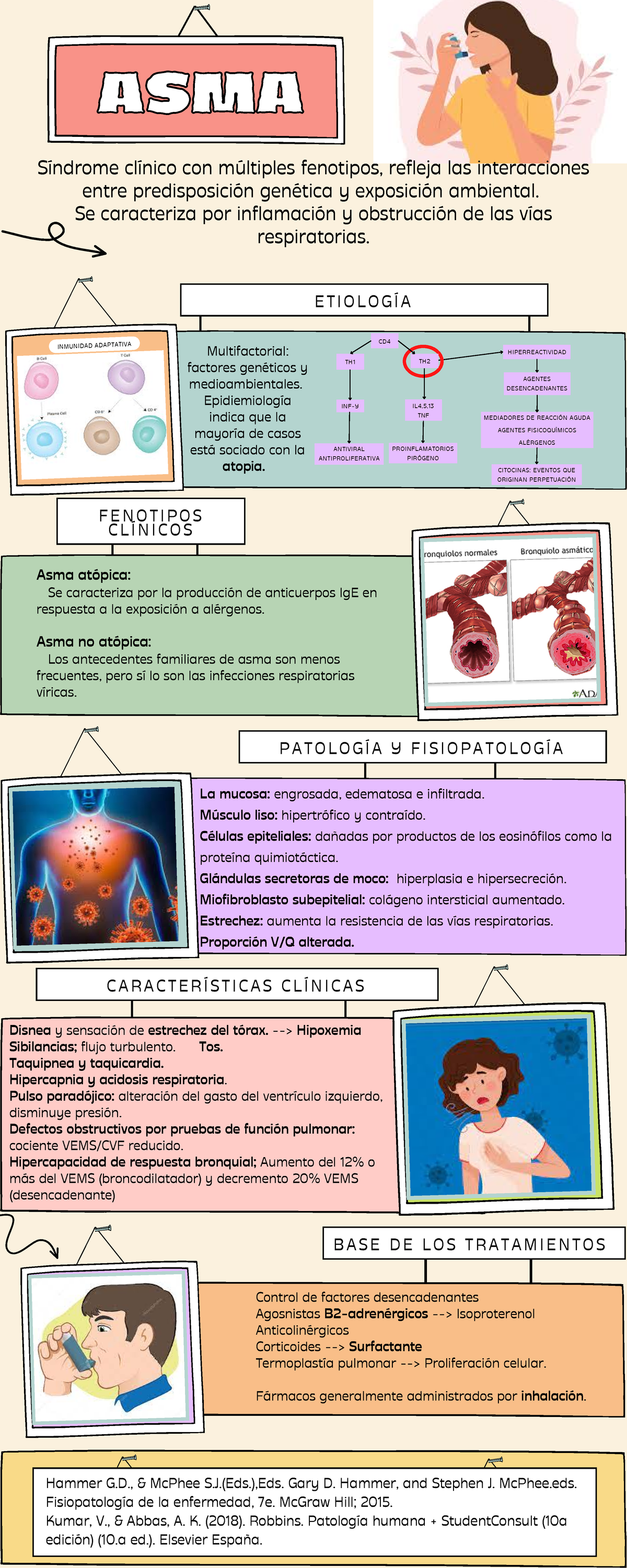 Asma - Fisiopatología del asma - E T I O L O G Í A F E N O T I P O S C ...