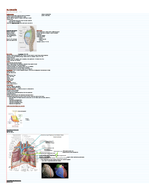 Morfo 2 - HistologíA Semana 14 - Morfofisiología II - UNIVERSIDAD PRIVADA ANTENOR ORREGO ...