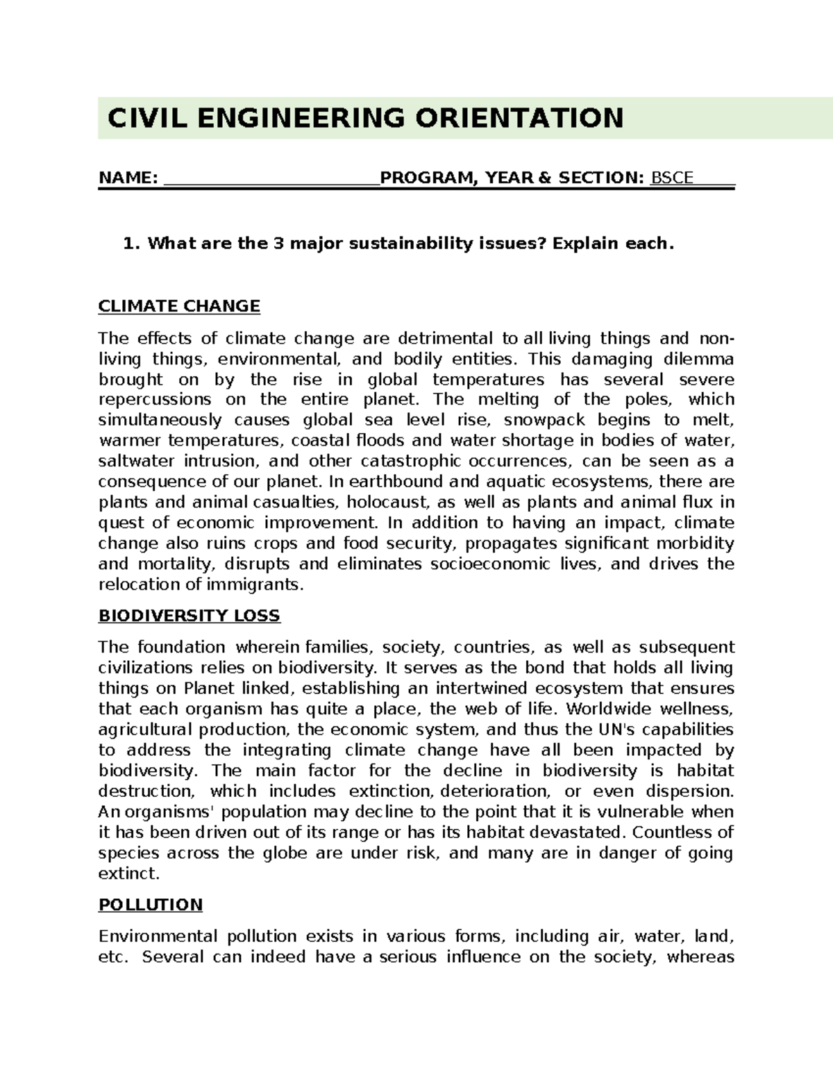 SUSTAINABILITY ISSUES - NAME: PROGRAM, YEAR & SECTION: BSCE What are ...