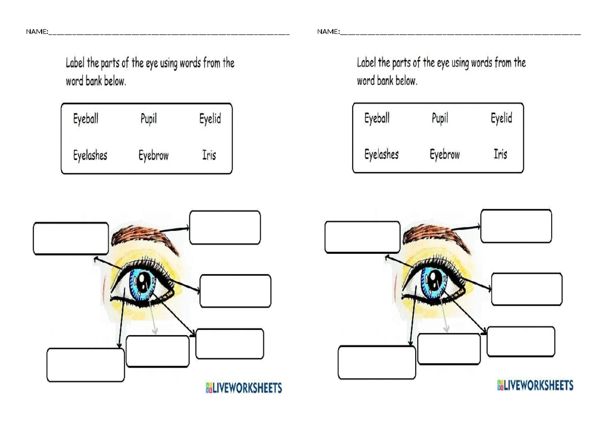 EYES - LESSON EXEMPLAR - NAME: NAME: Label the parts of the eye using ...