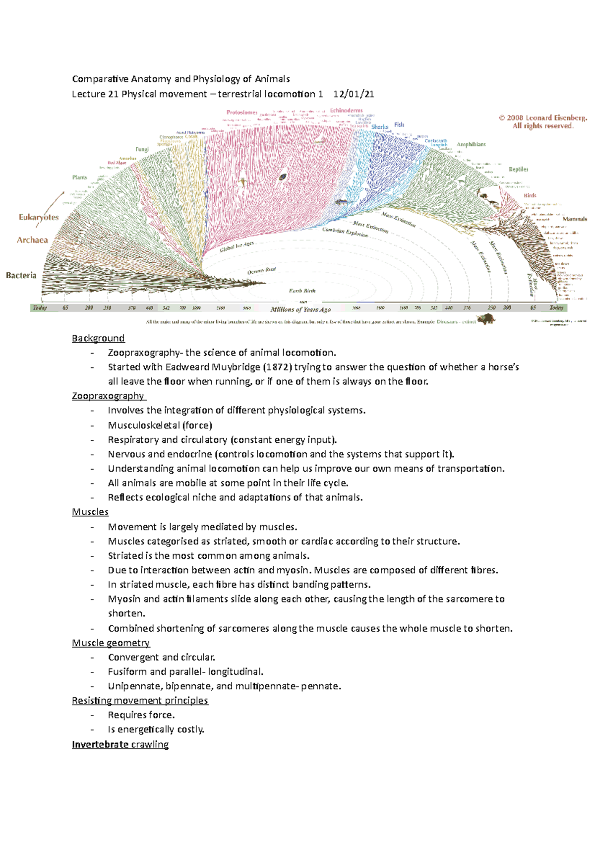 Terrestrial locomotion 1 - Started with Eadweard Muybridge (1872 ...