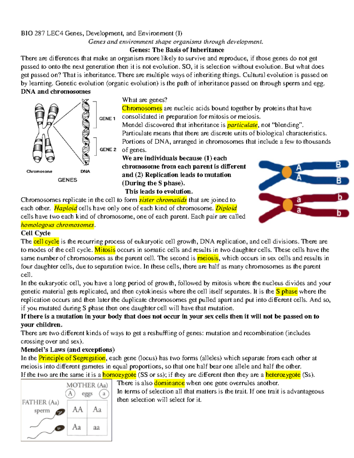 BIO287 LEC4 Outline - Lecture notes 4 - BIO 287 LEC4 Genes, Development ...