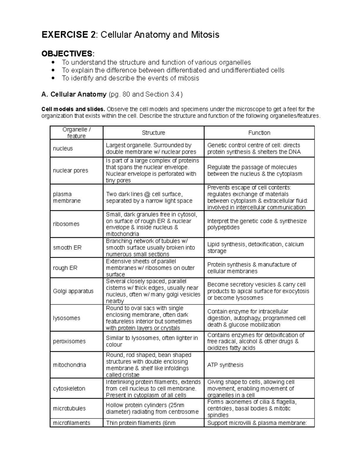 Exercise 2 - Cell Anatomy and Mitosis - EXERCISE 2 : Cellular Anatomy ...
