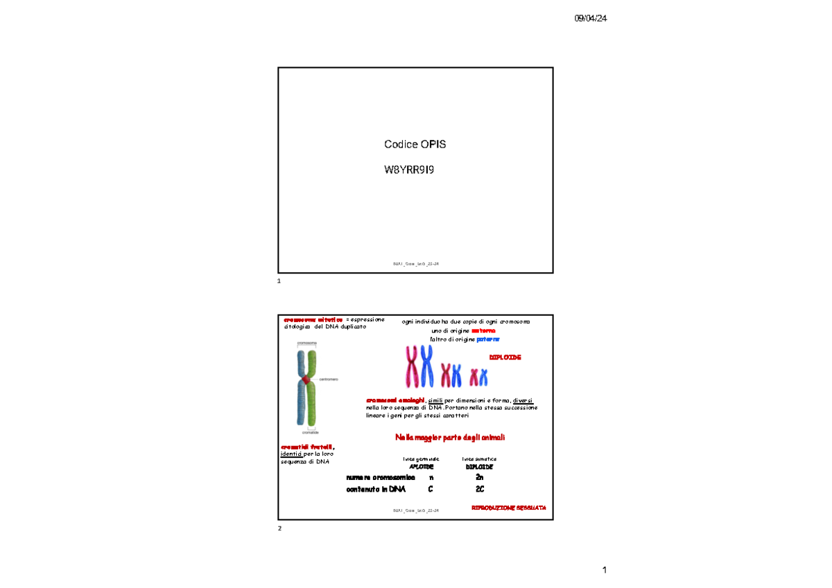 Lezione DNA Biologia - BUA1_Cioni_Lez5_23- 24 Codice OPIS W8YRR9I 1 ...