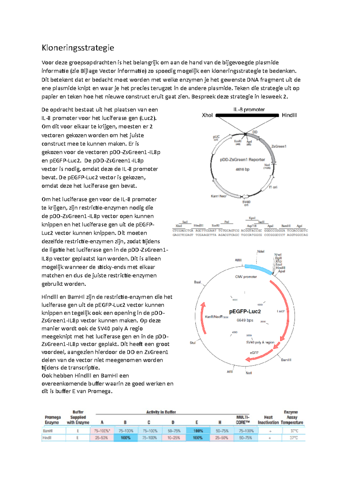 Kloneringsstrategie - klonering - Kloneringsstrategie Voor deze ...