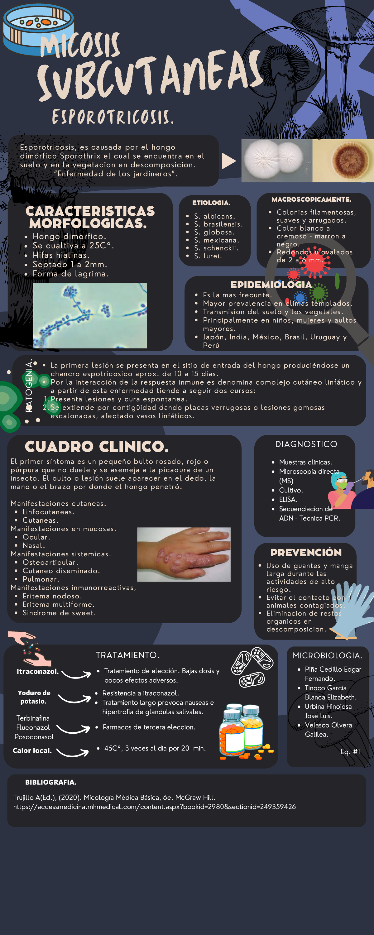 Infografía Esporotricosis - MACROSCOPICAMENTE. Linfocutaneas. Cutaneas ...