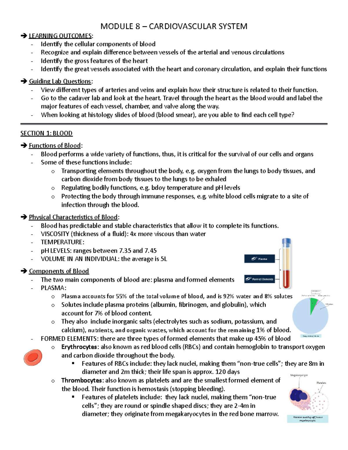 Module 8 ANAT - MODULE 8 – CARDIOVASCULAR SYSTEM LEARNING OUTCOMES ...