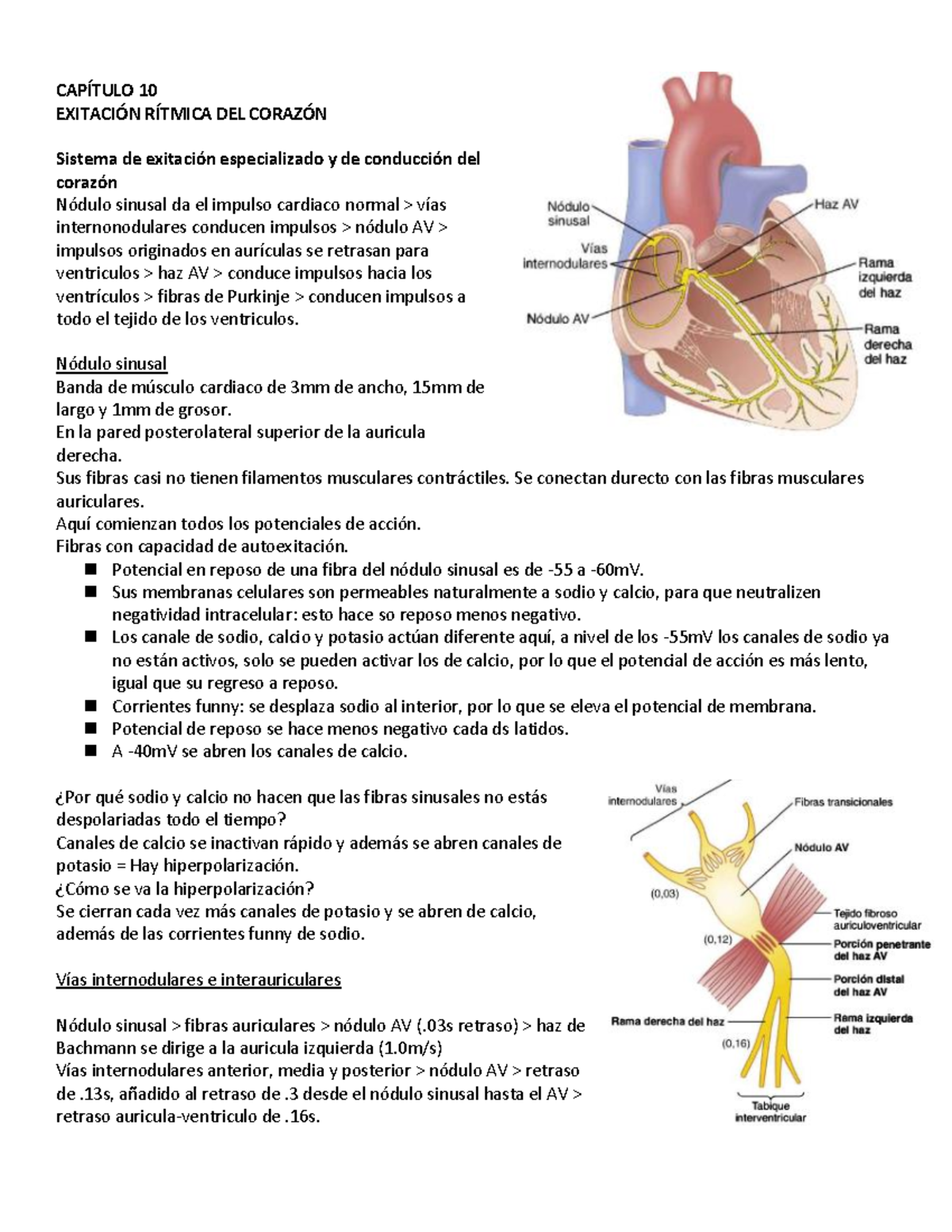 CAPÍTULO 10 - Guyton - CAPÍTULO 10 EXITACIÓN RÍTMICA DEL CORAZÓN Sistema de exitación ...