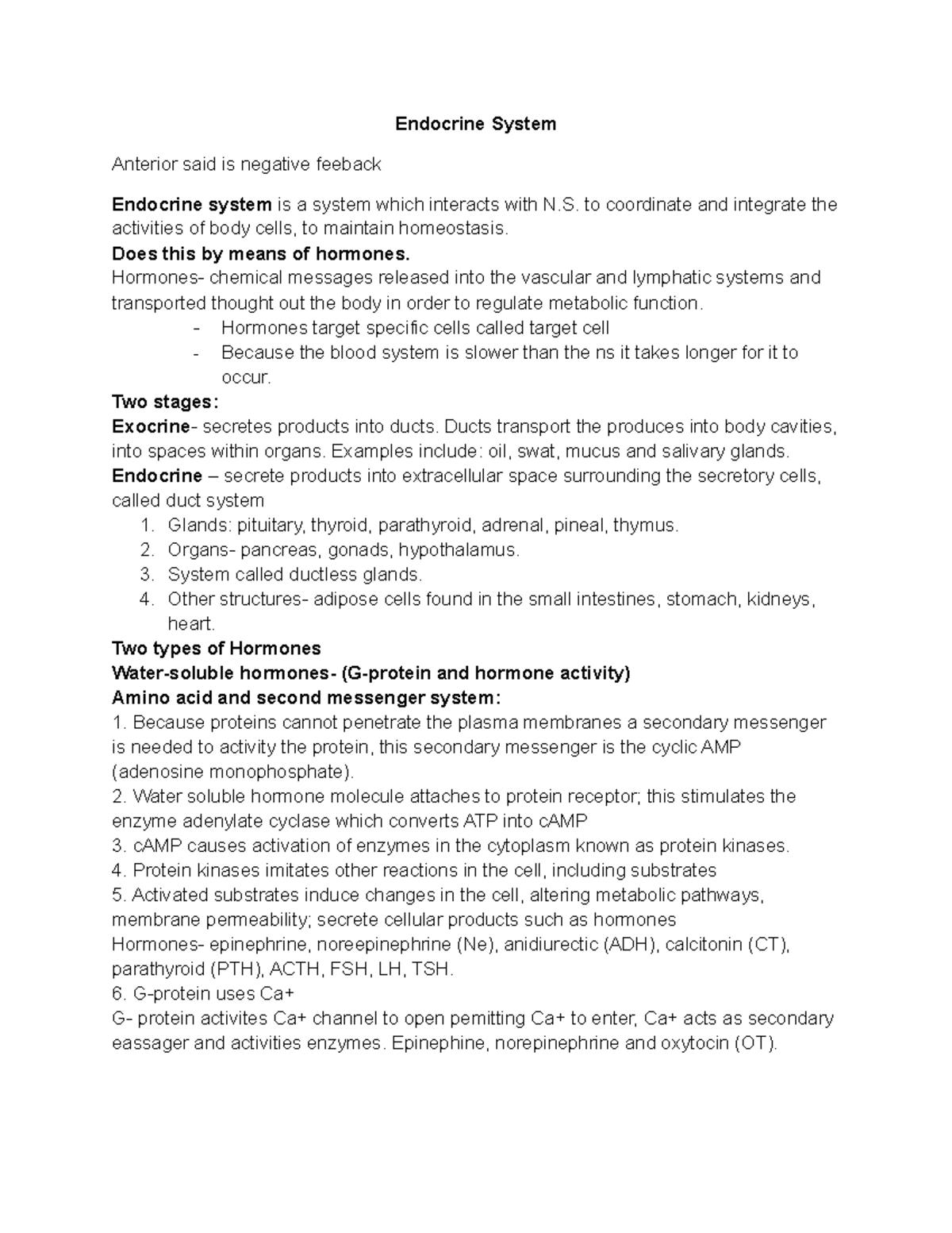 Endocrine System - Endocrine System Anterior said is negative feeback ...
