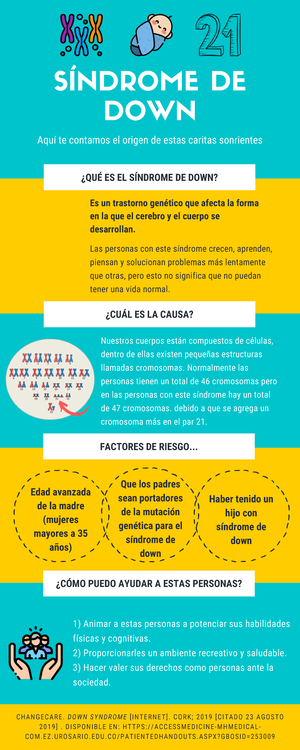 Rae Histología SIFILIS - UNIVERSIDAD DEL ROSARIO AIAS BIOMÉDICAS II ...