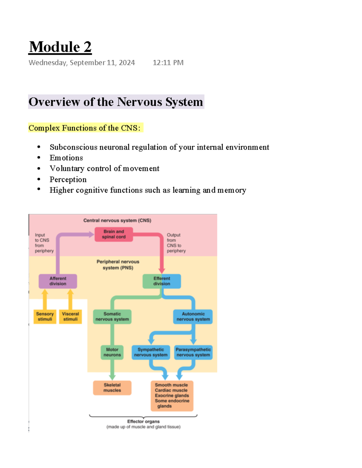 Module 2 - Overview of the Nervous System Complex Functions of the CNS: Subconscious neuronal ...