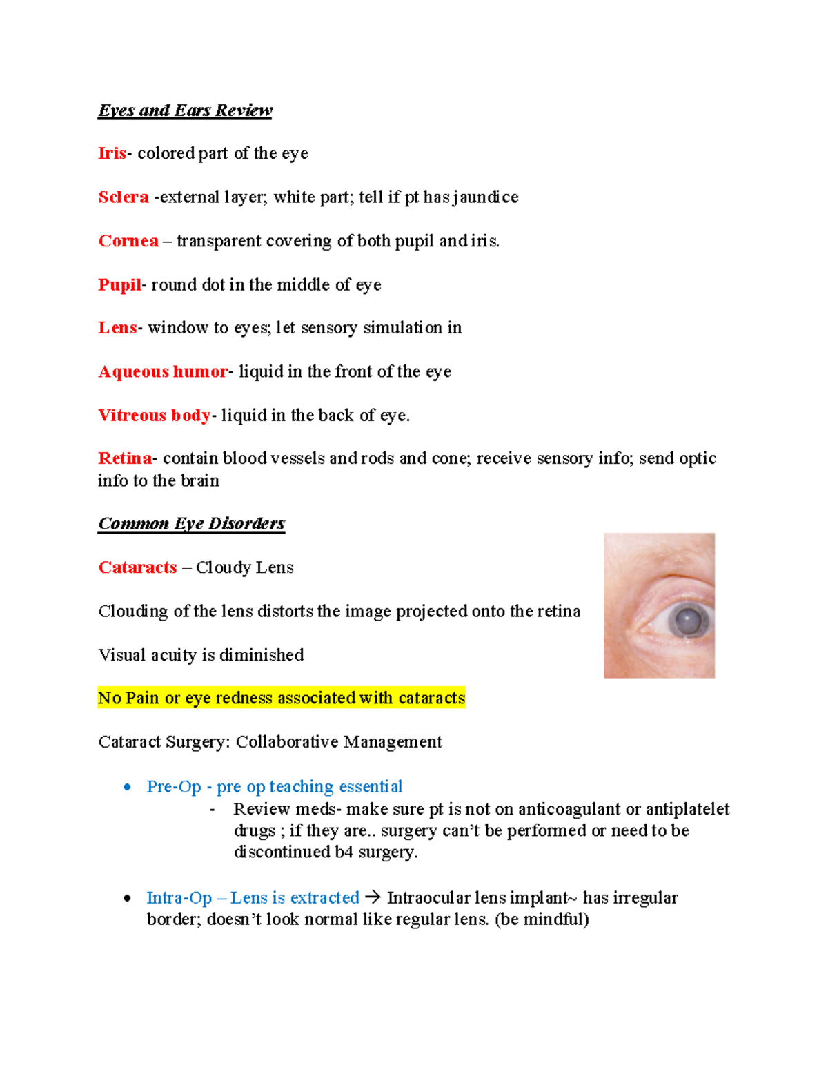 Eyes and Ears Review - Eyes and Ears Review Iris- colored part of the ...