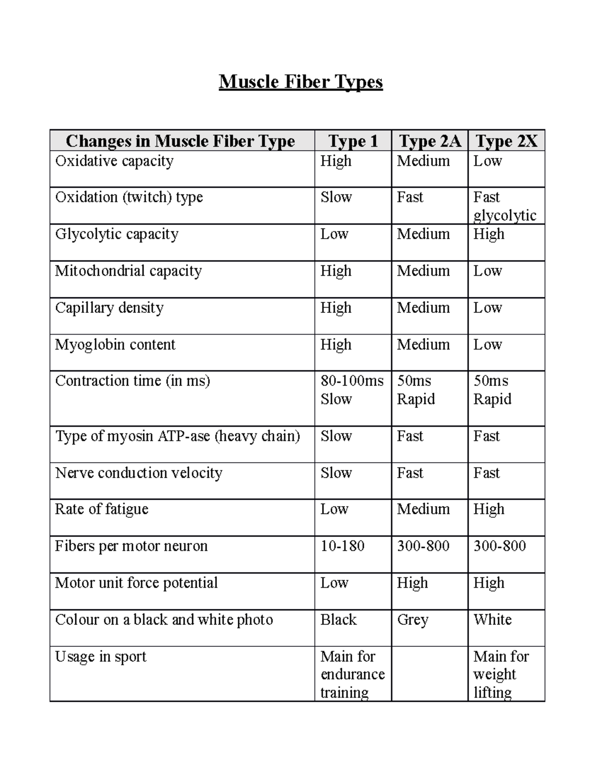Muscle Fiber Types - Studocu