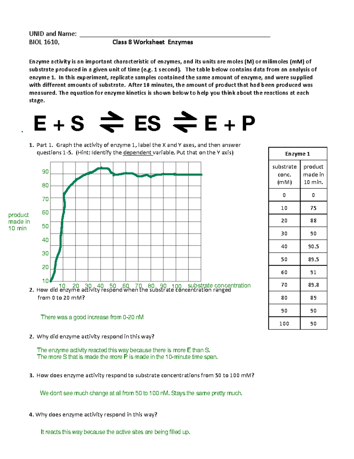 5-Worksheet 8 Enzymes Kinetics - UNID and Name: - Studocu