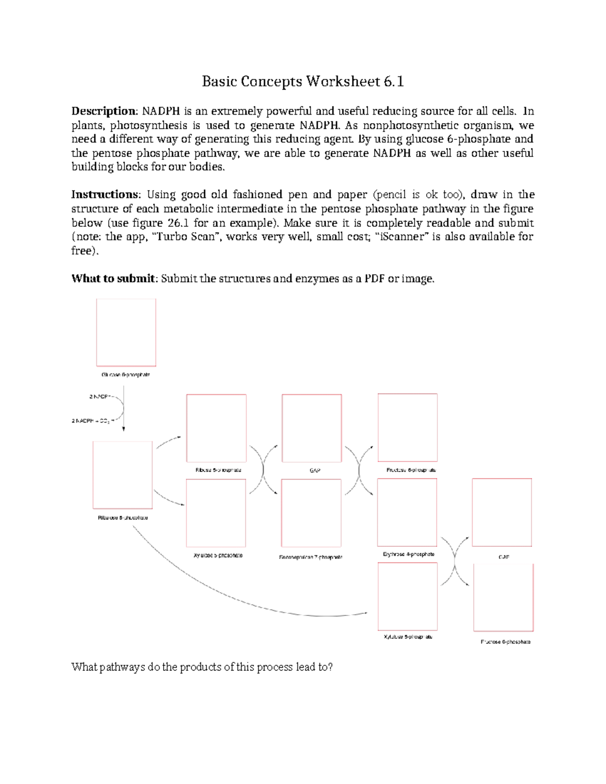 Basic concept worksheet 6 - Basic Concepts Worksheet 6. Description: NADPH is an extremely ...