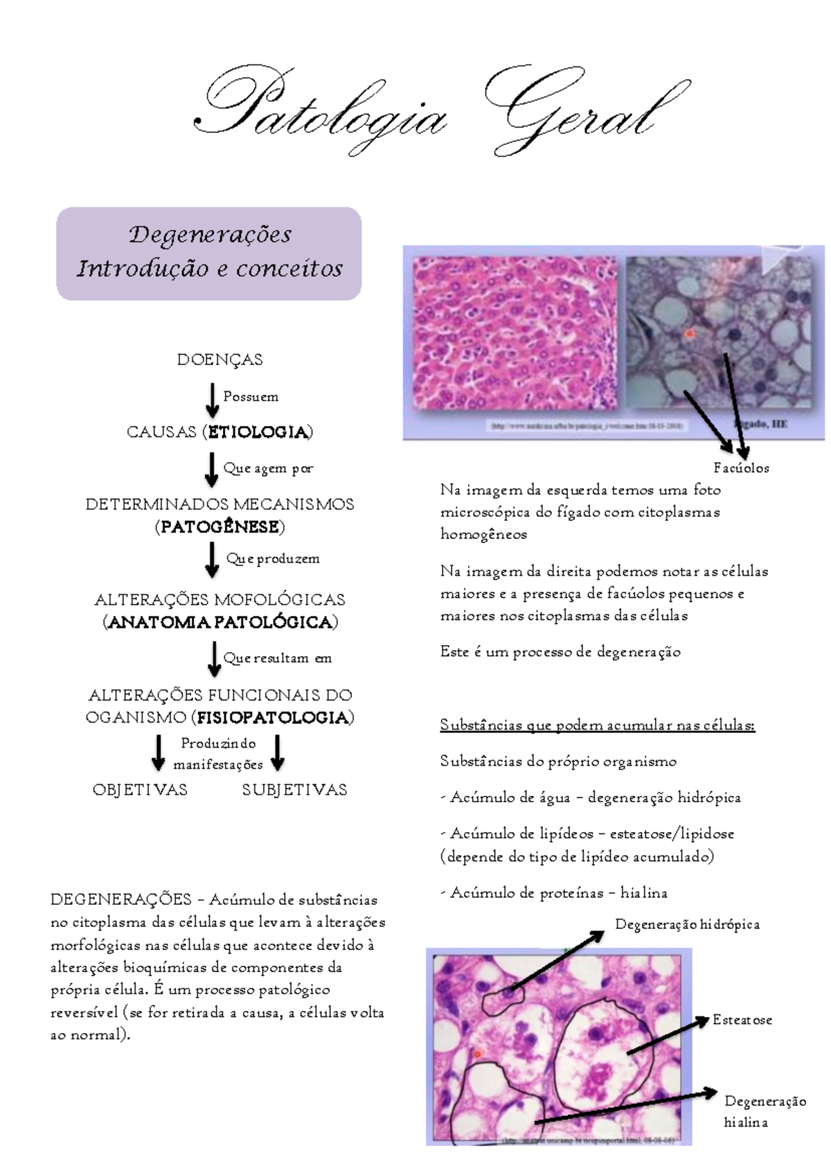 Aula 01 - Patologia - Material de estudo - Patologia Geral DOENÇAS ...