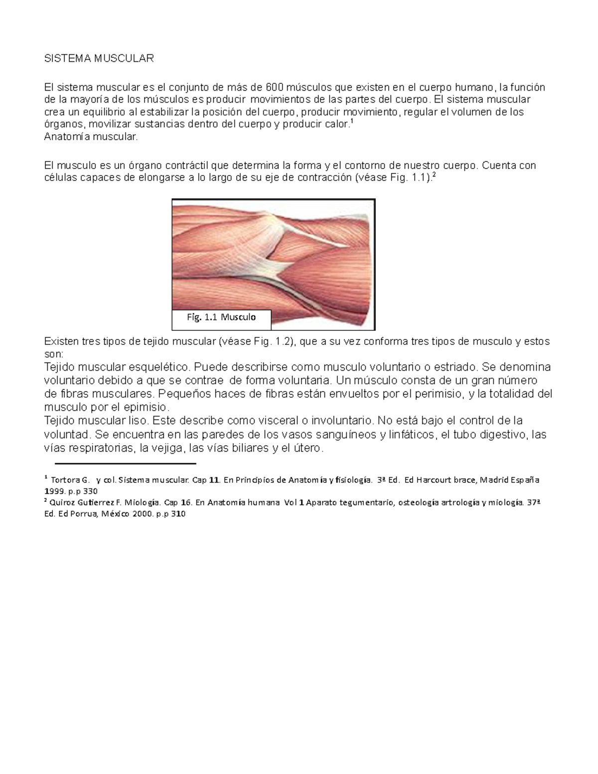 Sistema-Muscular - Musculos - Fig. 1 Musculo SISTEMA MUSCULAR El ...