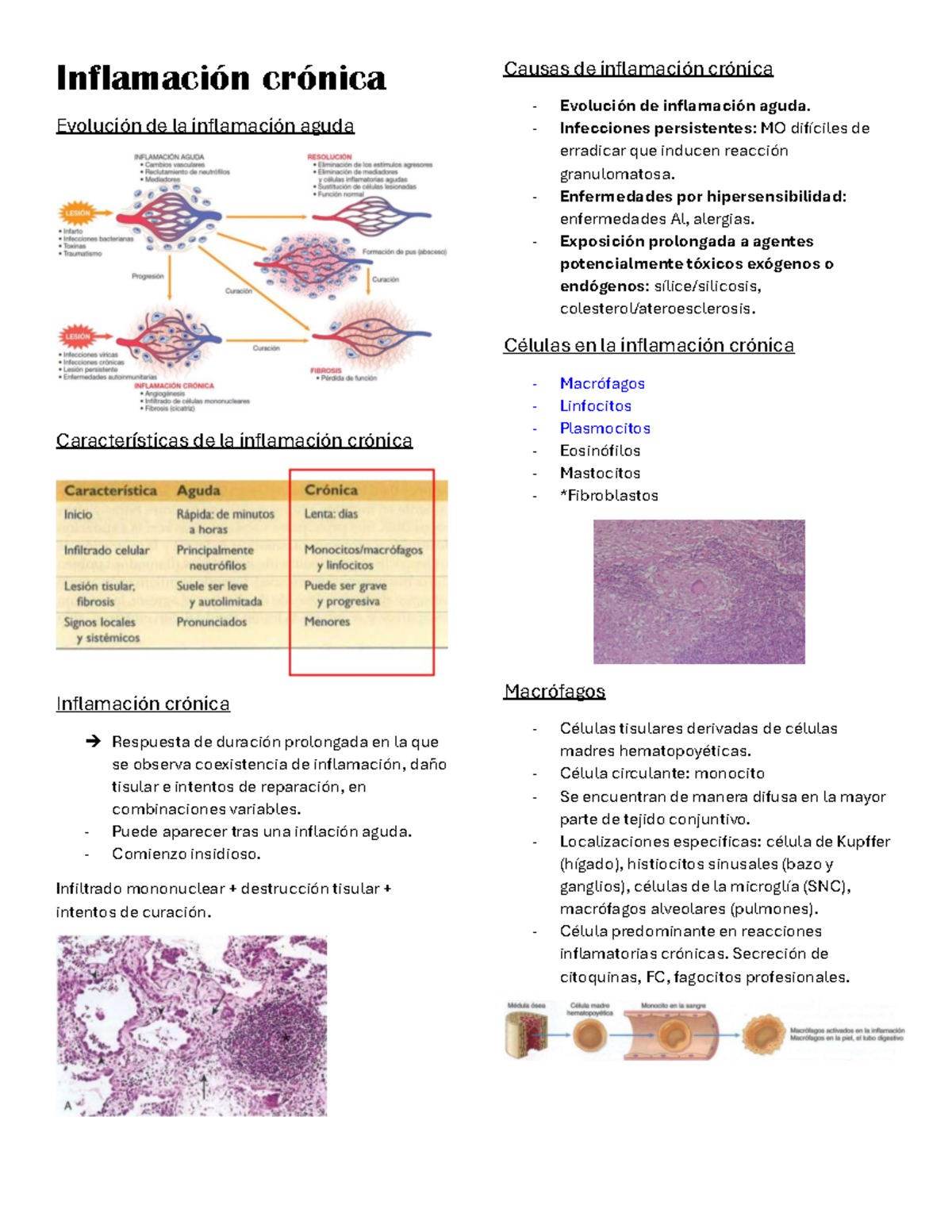 Inflamación crónica - apuntes - Inflamación crónica Evolución de la ...