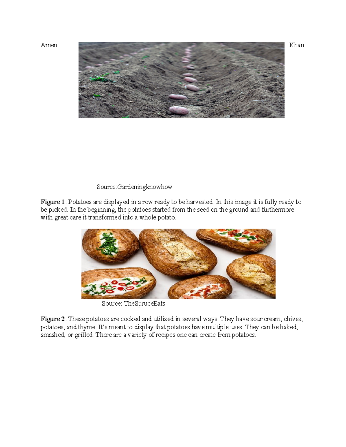 Food and Plants Research Paper (1) - Amen Khan Source:Gardeningknowhow ...