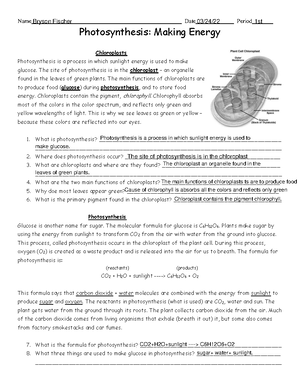 (Student) Bryson Fischer - Ch2 Guided Reading - GUIDED READING A Place ...