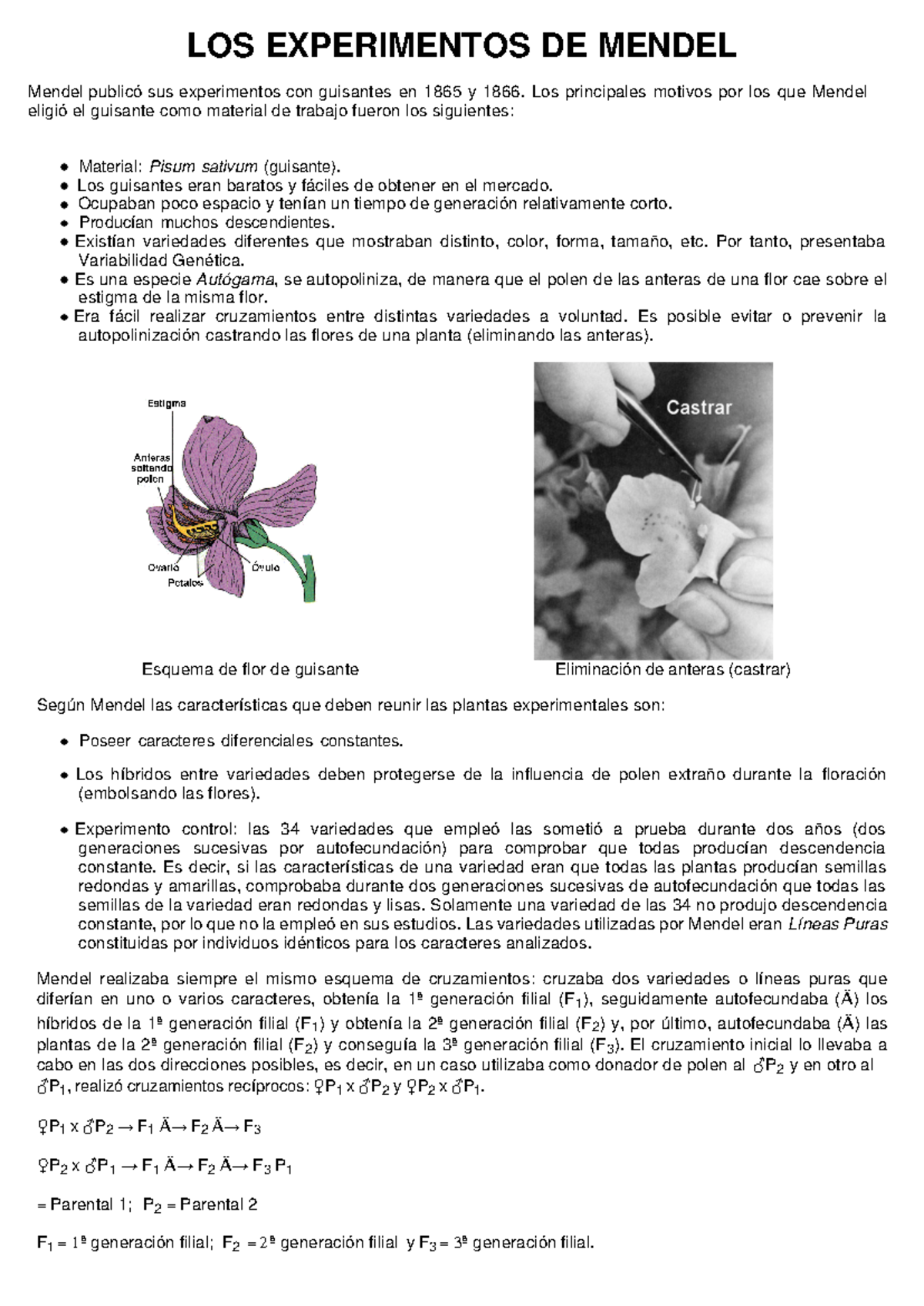 12-Los experimentos de Mendel - LOS EXPERIMENTOS DE MENDEL Mendel ...