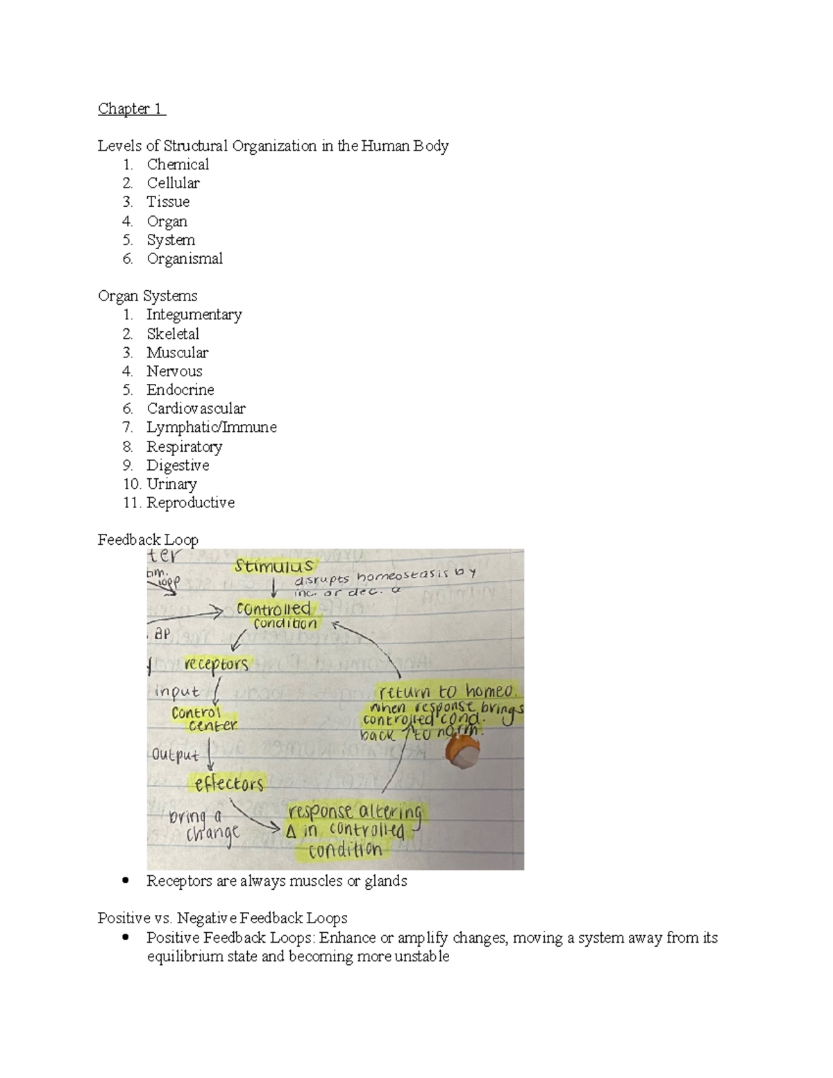 BIOL110 Exam 1 Study Guide - Chapter 1 Levels of Structural ...