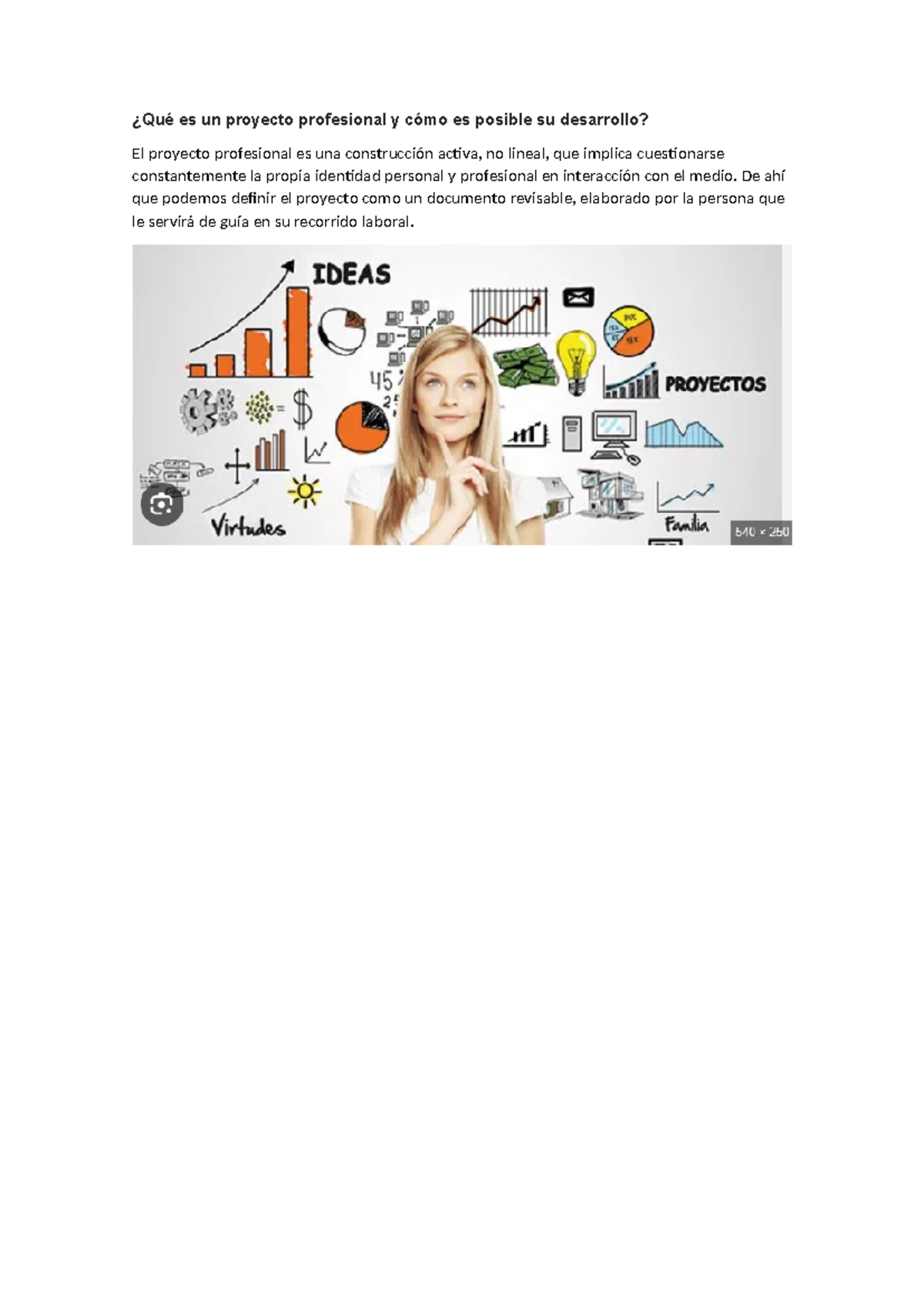 Qué es un proyecto profesional y cómo es posible su desarrollo ...