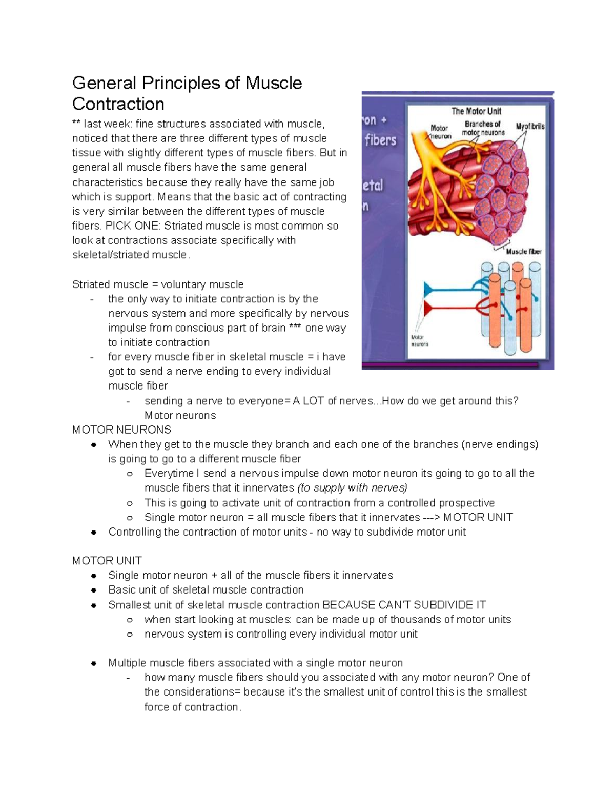 Test 3 lecture notes - General Principles of Muscle Contraction ** last ...