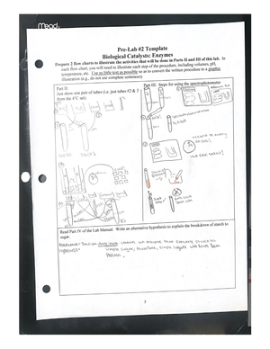 Pre-Lab #3 Template - Bio 161 Professor Neal pre-lab 3 - Template ...