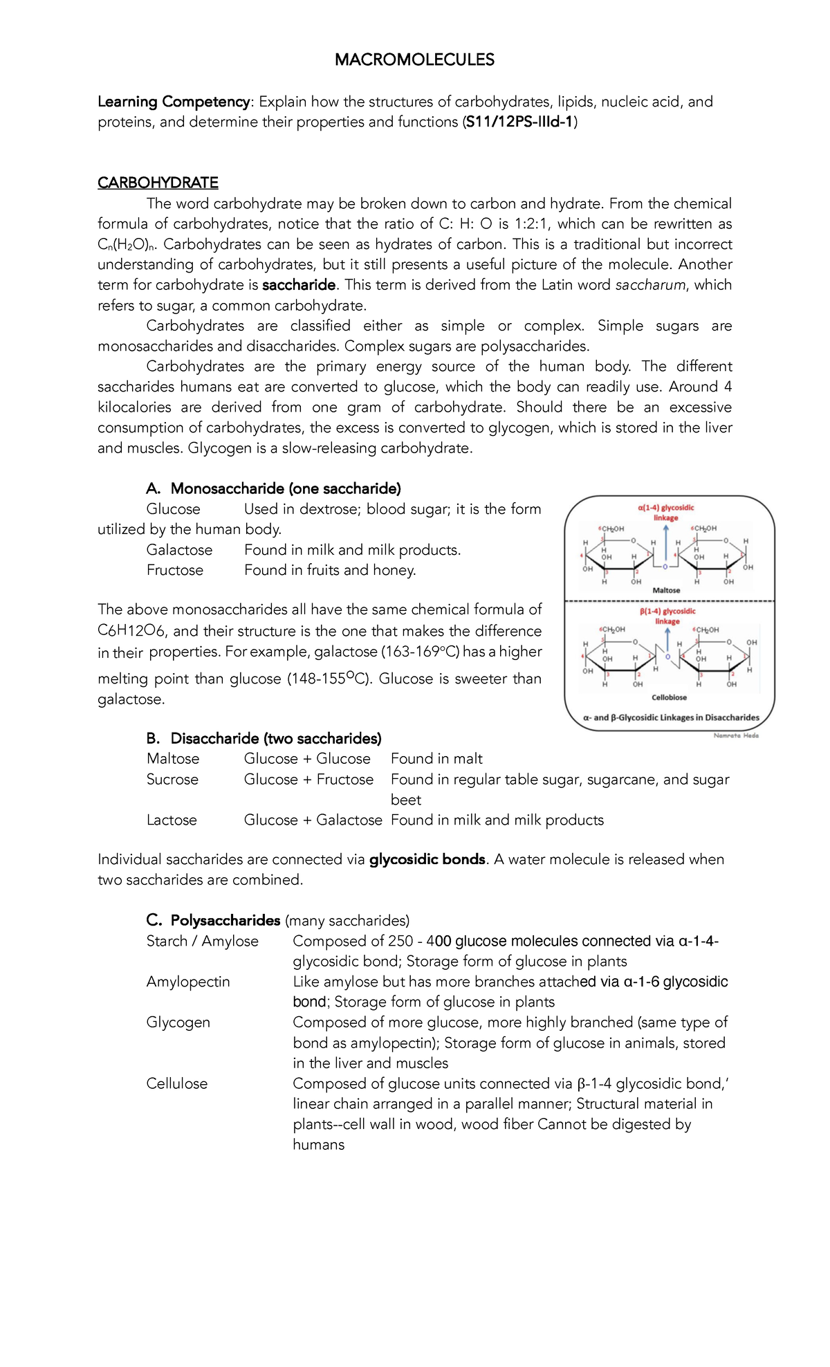 Handout Macromolecules - MACROMOLECULES Learning Competency: Explain ...