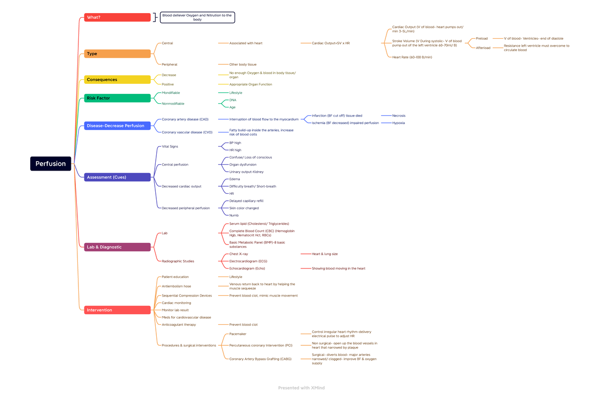 Perfusion - Mind Mapping - Perfusion Type Consequences Risk Factor Central Peripheral Associated ...