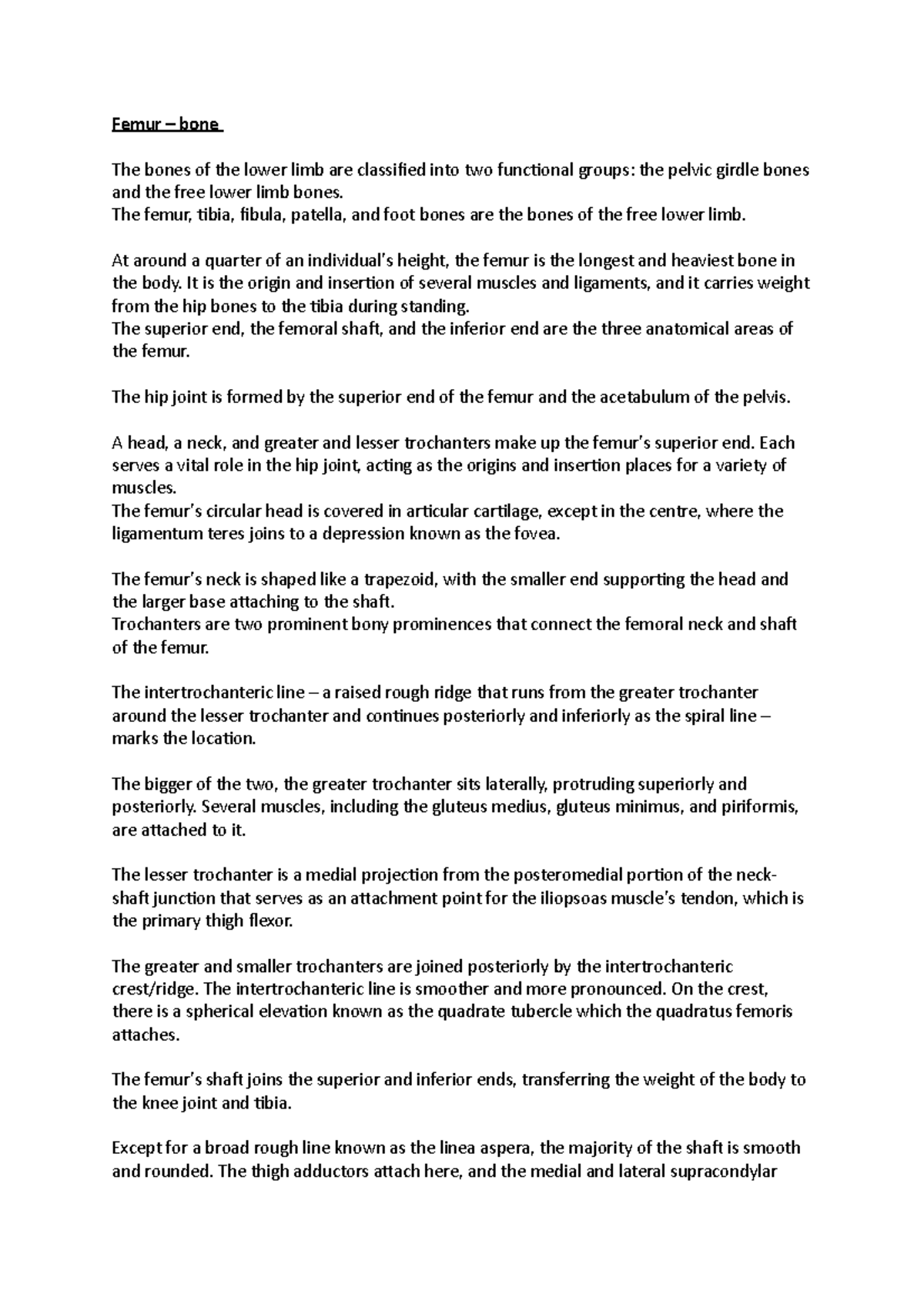 Femur - bone - notes from anatomy - AOC102DI - Coventry - Studocu