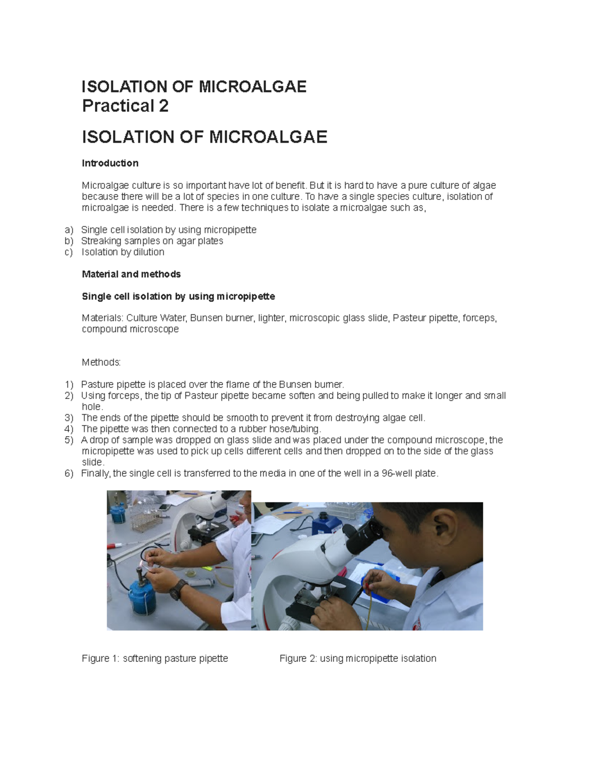 Isolation OF Microalgae - ISOLATION OF MICROALGAE Practical 2 ISOLATION ...