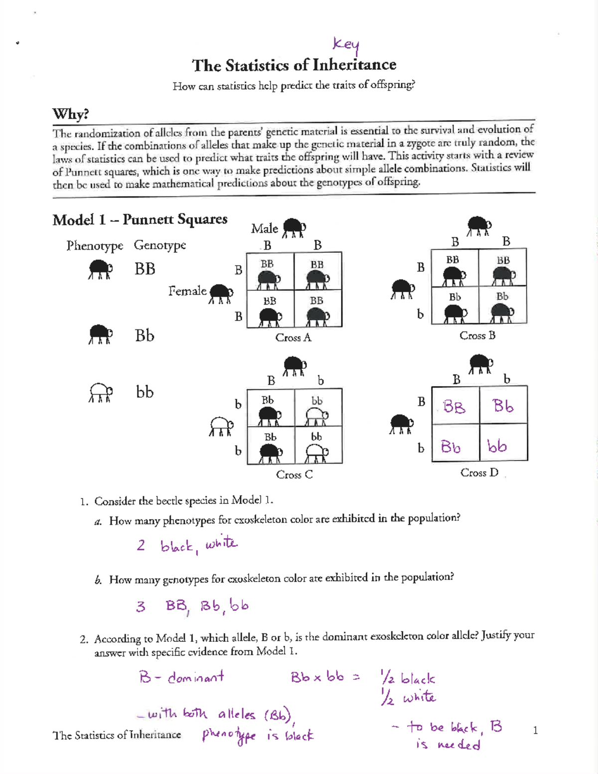 KEY-The+Statistics+of+Inheritance - Studocu